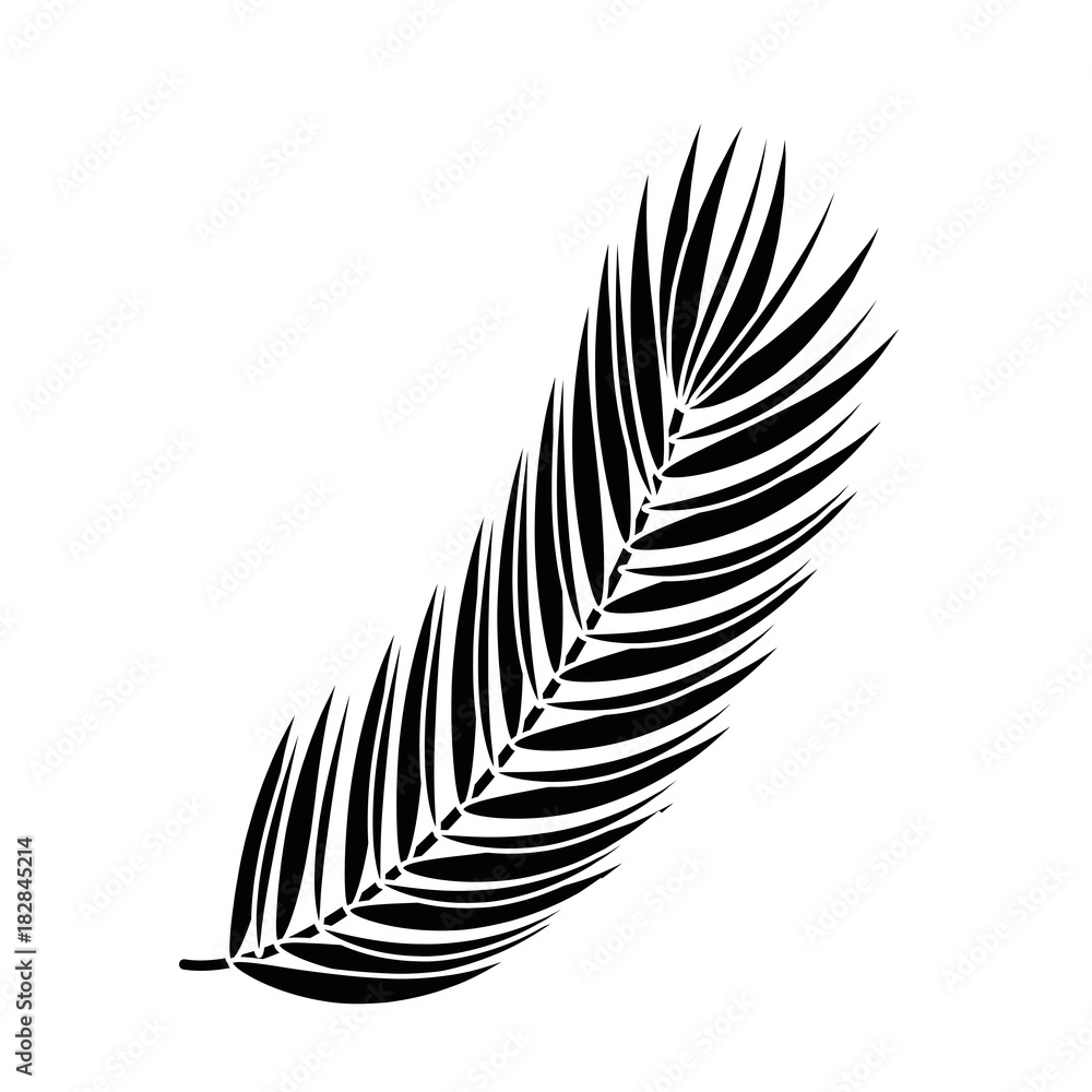 palm leaf isolated icon vector illustration design Stock Vector | Adobe ...
