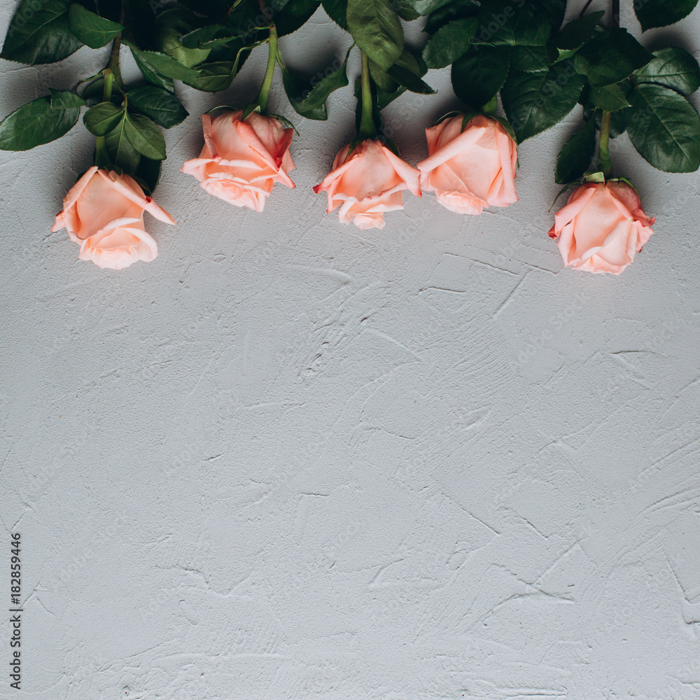 Bright Flower Tumblr Backgrounds