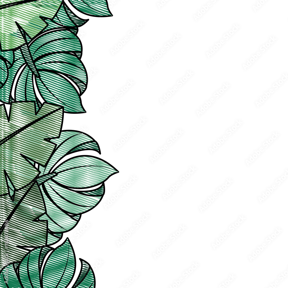 tropical leaves palm tree border decoration vector illustration drawing ...