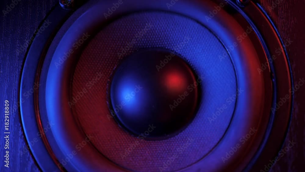 Loud Speaker In Action Close Up View Of Details Loudspeaker Woofer And