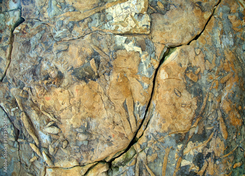 Foto de Stone texture background/Detail of sand stone texture/Natural ...