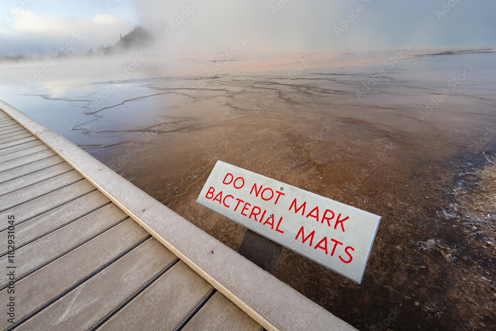 Bacterial mats at Grand Prismatic Spring, Yellowstone National Park ...