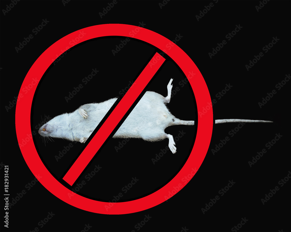 Dead rat in red prohibitory sign. Suitable as an emblem for poisons for ...