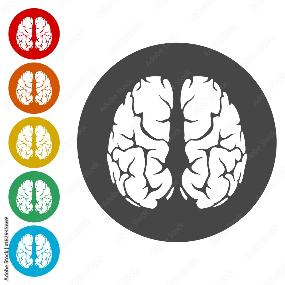 Human brain concept, Brain Logo design vector template Stock Vector ...