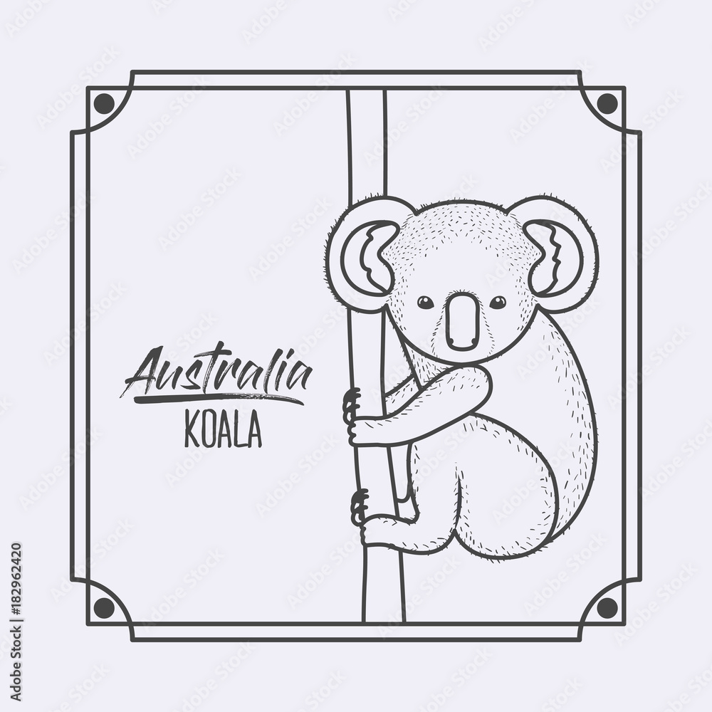 australia koala in frame and monochrome silhouette vector illustration ...
