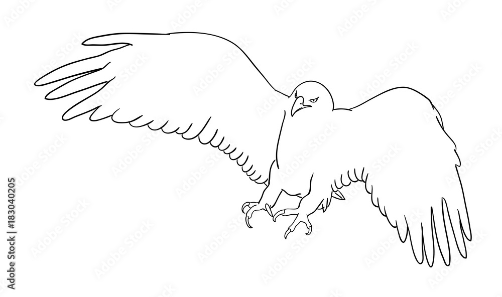 Eagle line art 06. Good use for symbol, logo, web icon, mascot ...