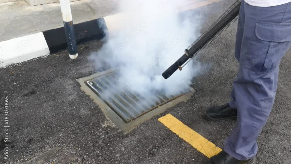 Technician fogging into drain to kill aedes mosquito, carrier of dengue ...