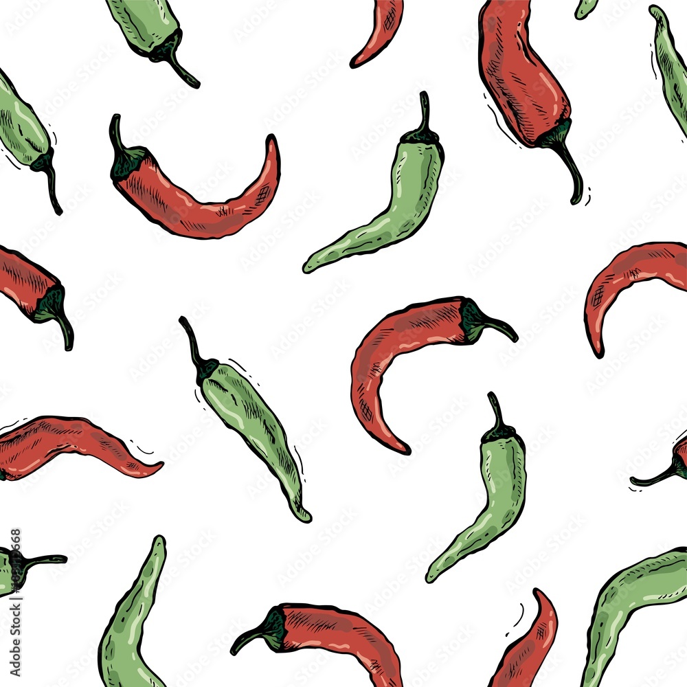 Chilly pepper, chilli Vector hand drawn vector illustration. Fresh ...