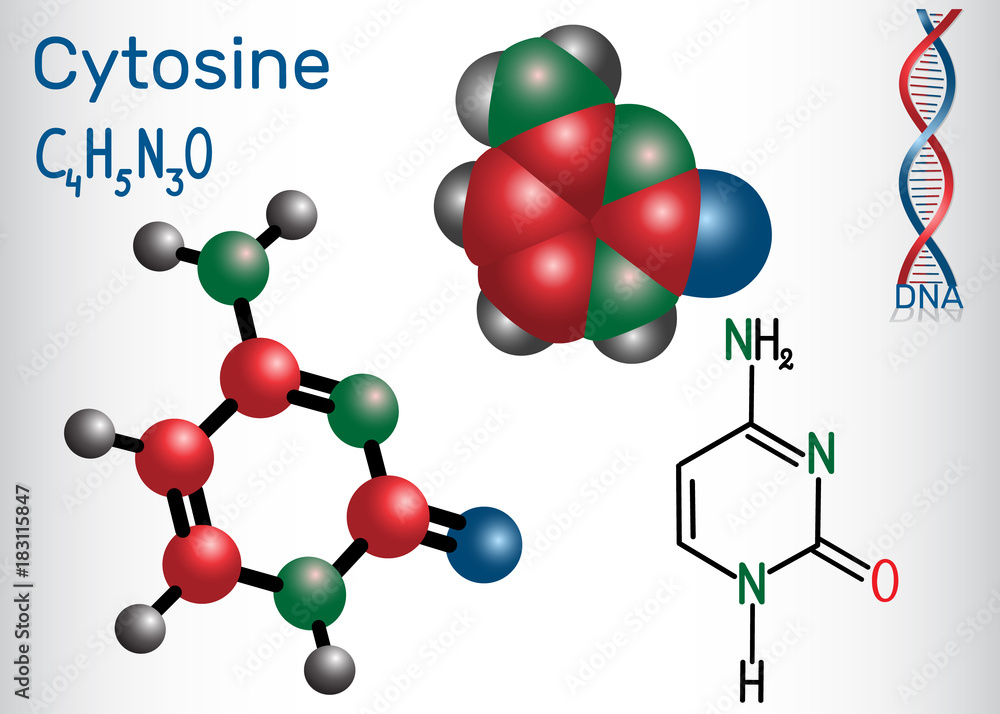Cytosine (C) - pyrimidine nucleobase, fundamental unit of the genetic ...