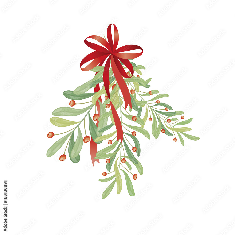 Mistletoe Illustration