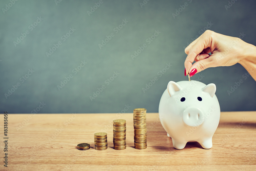 The concept of collecting money, the accumulation of capital Stock ...