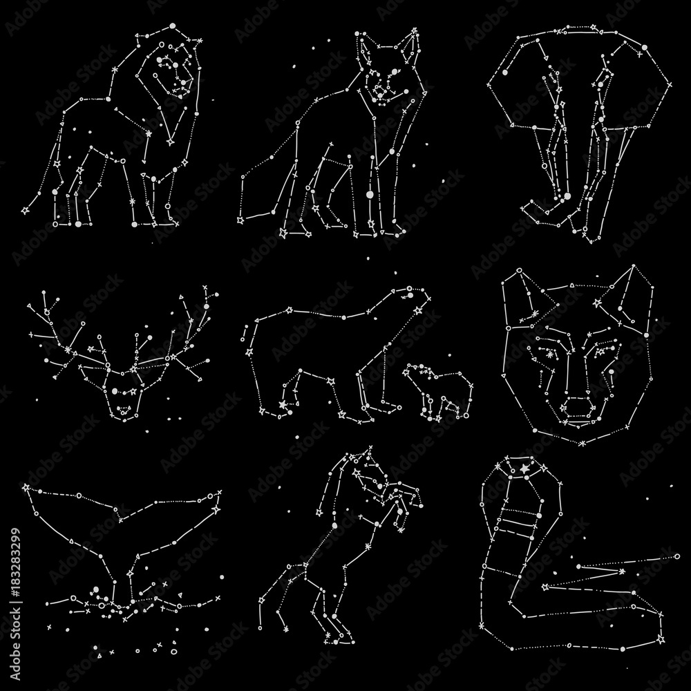 Collection of hand draw animals constellation on dark sky. Sketched ...