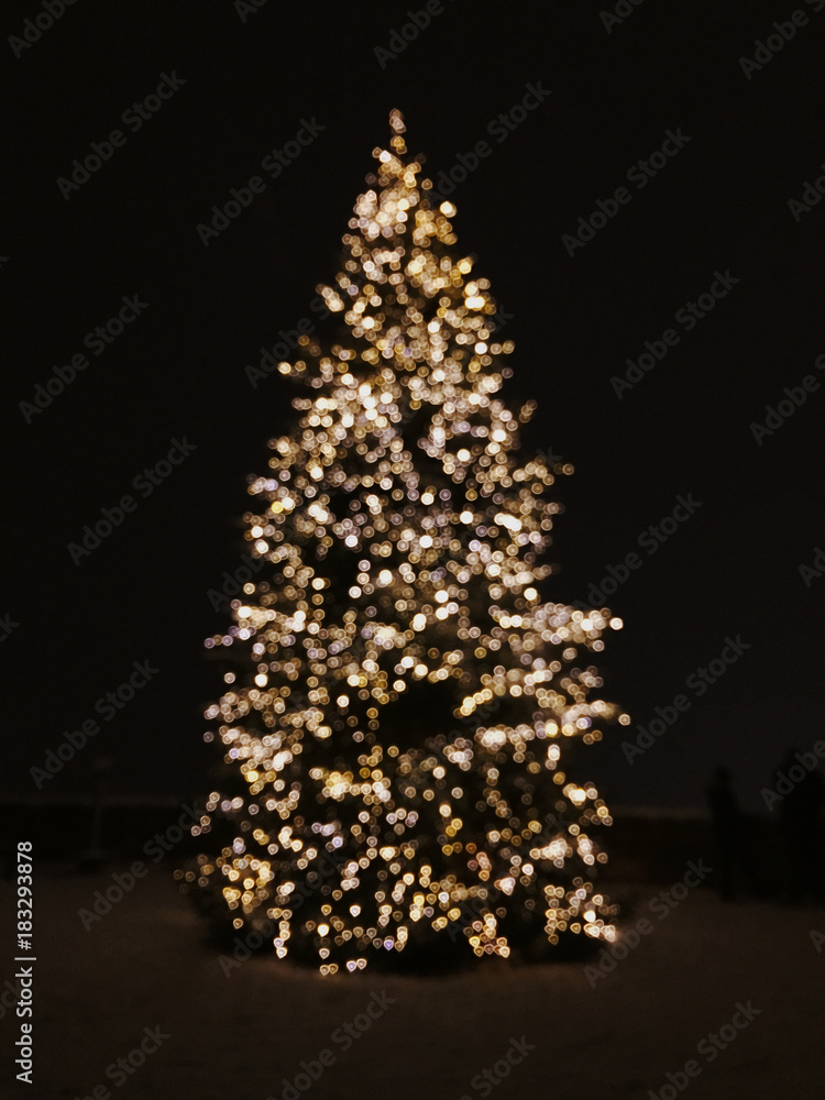 Blurred Christmas Tree Lights