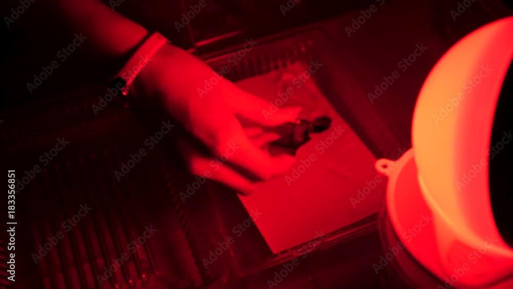 Dark room equipped under photo laboratory. Trays with reagents for ...