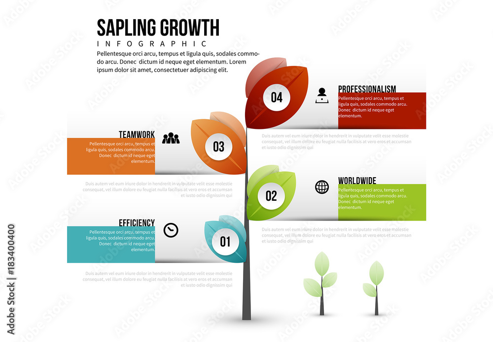 Sapling Growth Infographic Stock Template | Adobe Stock