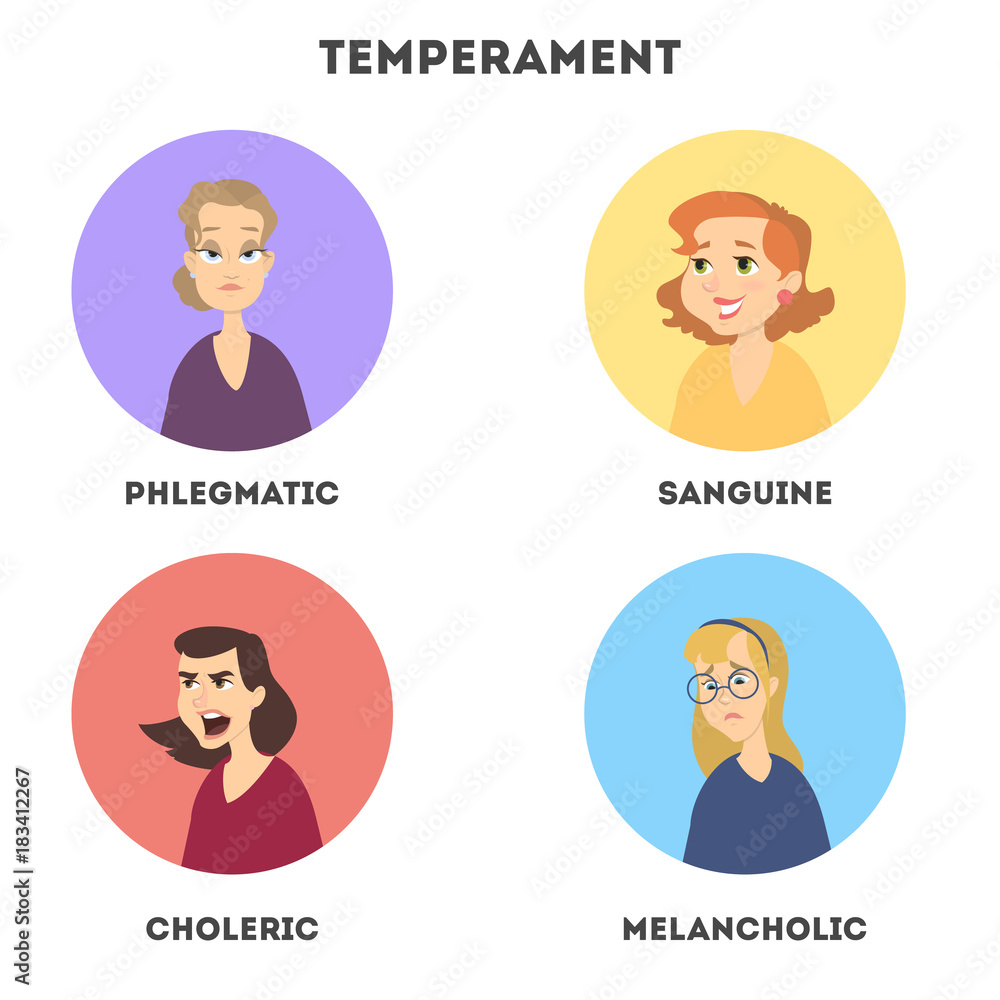 Types of temperaments. Stock Vector | Adobe Stock