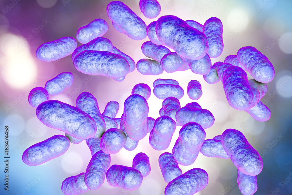 Prevotella bacteria, 3D illustration. Gram-negative anaerobic bacteria ...