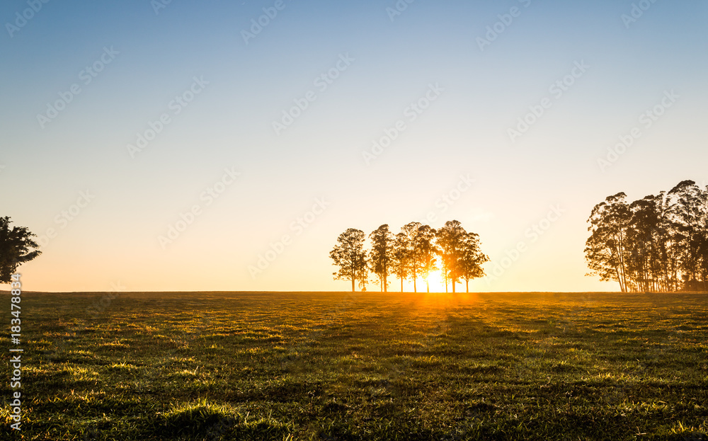 Nascer do sol no campo Stock Photo | Adobe Stock