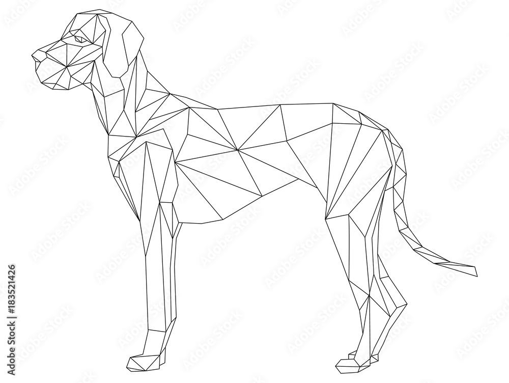 Vecteur Stock dog geometric style | Adobe Stock