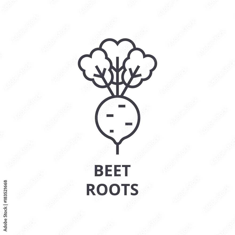 beet, roots line icon, outline sign, linear symbol, flat vector ...