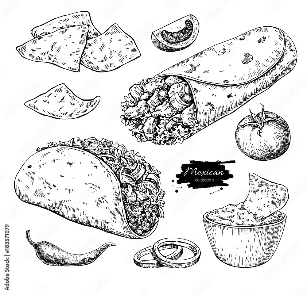 Mexican food drawing. Traditional cuisine vector illustration. Stock ...