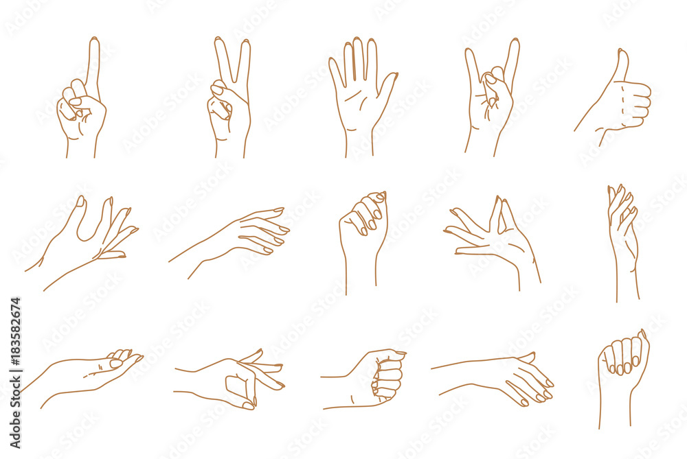 Hand gestures contour vector set Stock Vector | Adobe Stock