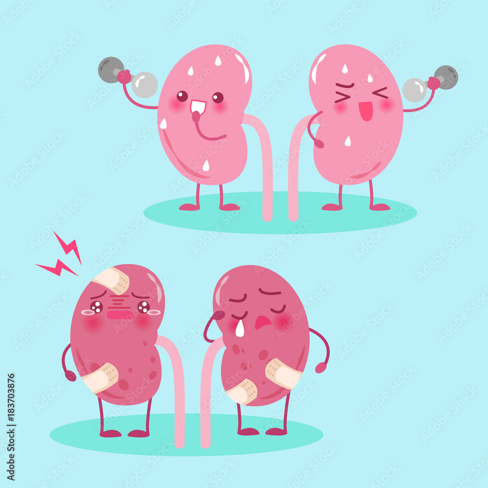cute cartoon kidney Stock Vector | Adobe Stock