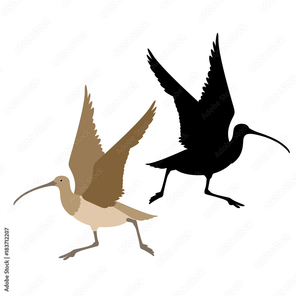 curlew bird black silhouette vector illustration flat style profile ...