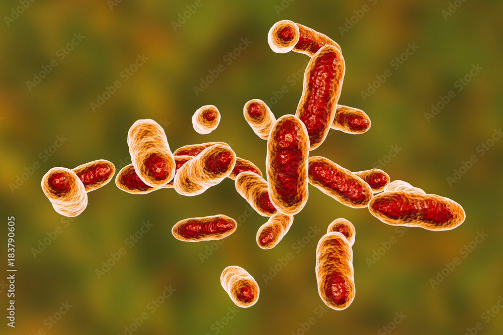 Tannerella forsythia bacteria, 3D illustration. Gram-negative anaerobic ...