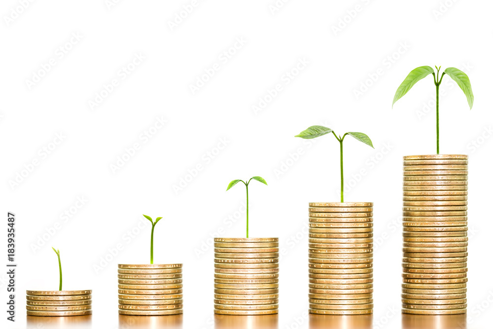 Business Growth Money