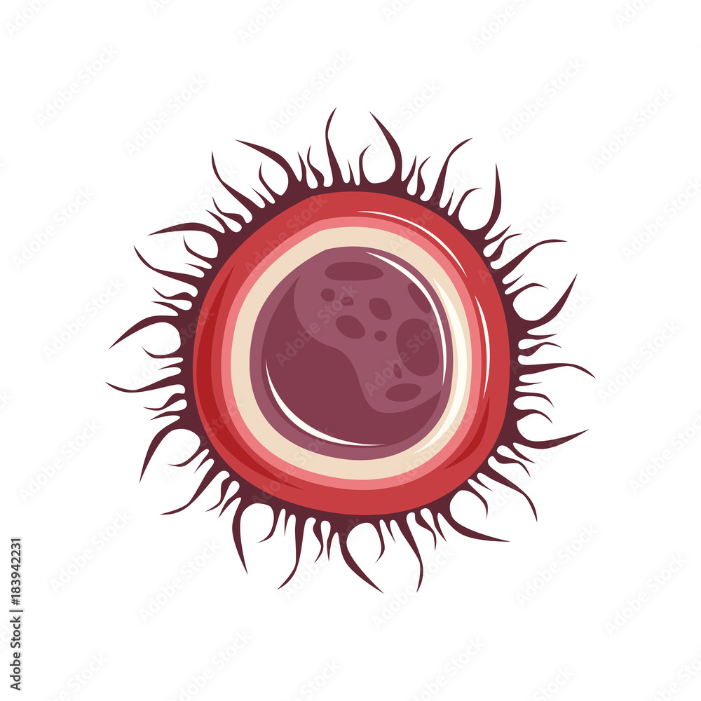 Structure of female egg ovum cell. Icon of human reproductive system ...