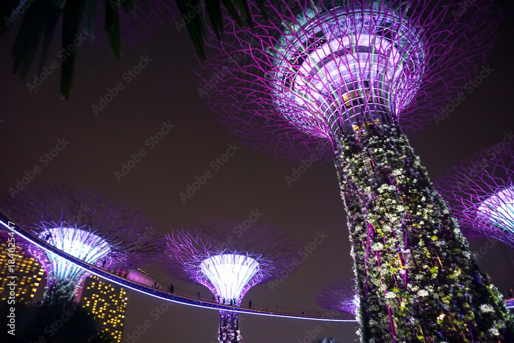 super tree grove in garden by the bay at night. one of the beautiful ...