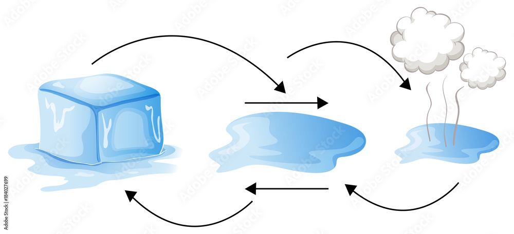 Diagram showing how water changes forms Stock Vector | Adobe Stock