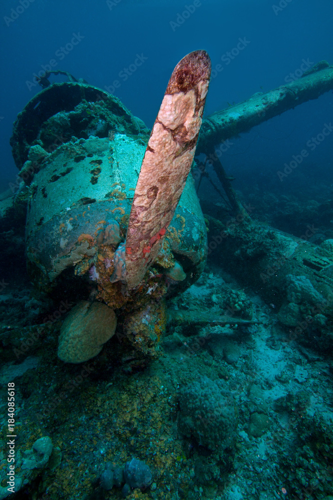 Japanese "Jake" sea plane, shot down during World War II, sits on a ...