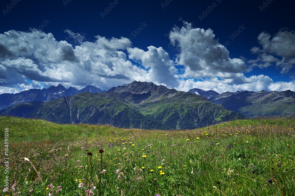 Landscape Picture of Alpine meadow in early summer, full of blooming ...
