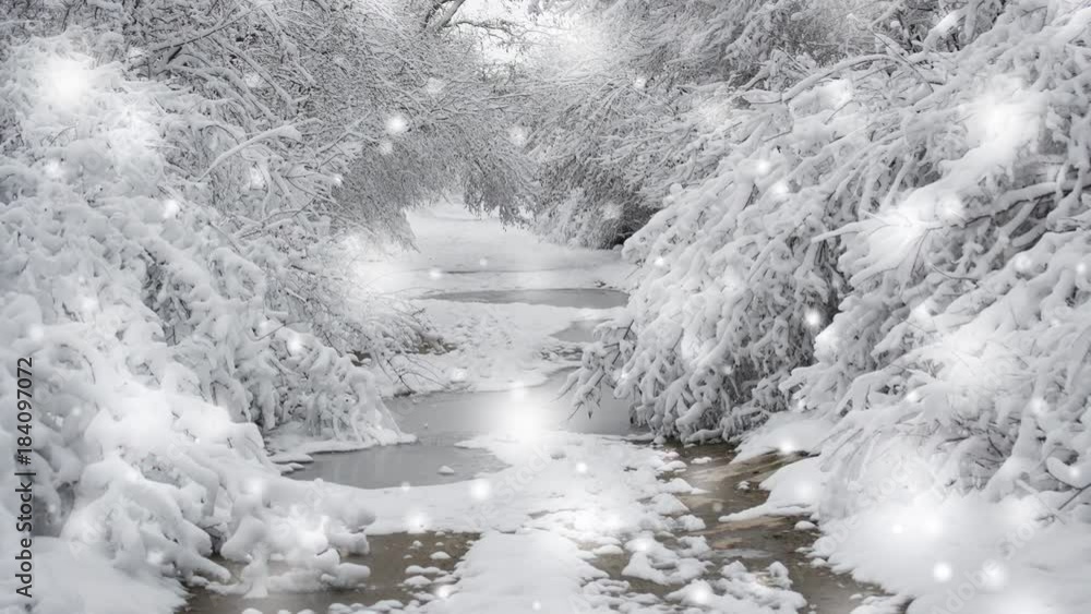 Snow-covered trees plants forest in winter filter, effect. Natural ...