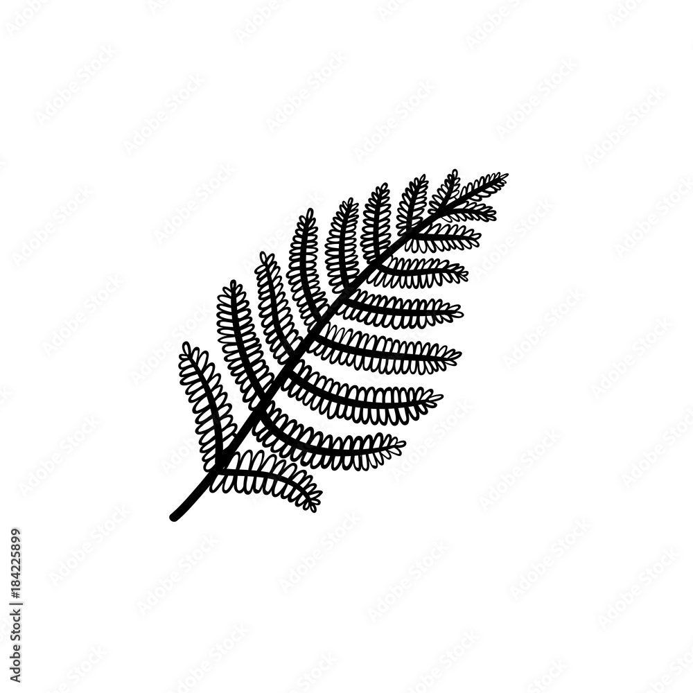 Vector hand drawn fern leaf outline doodle icon. Fern leaf sketch ...
