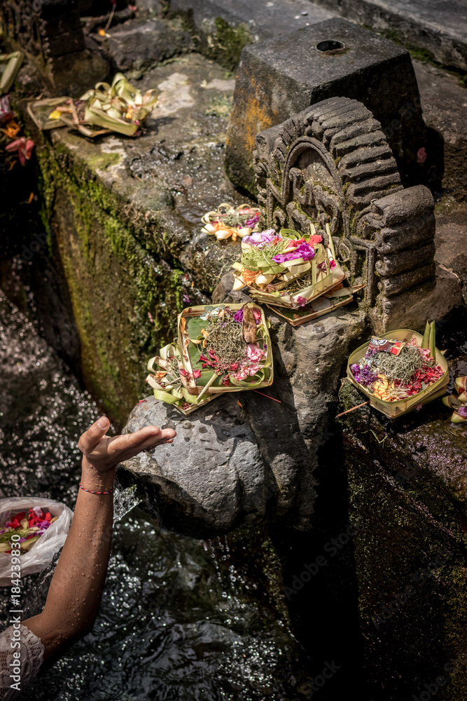 Holy spring water. People praying in the Tirta Empul temple. Bali ...