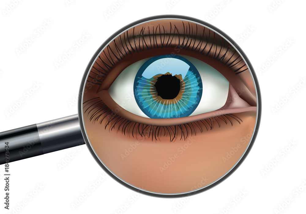 œil - observer - détective - concept - loupe - big brother - espion ...