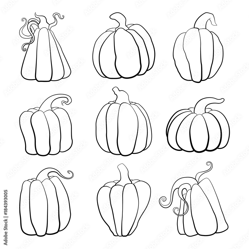 Pumpkin Shape Outline