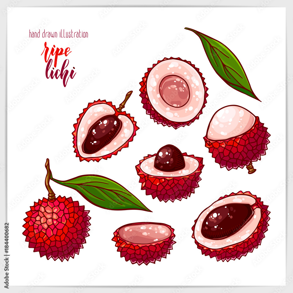 Colorful set of ripe and tasty lichi, whole and sliced, with leaves ...