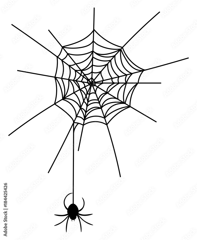 Vector illustration of a spider on a cobweb. Black silhouette of a ...