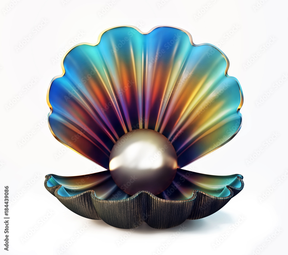 pearl shell Stock Illustration | Adobe Stock