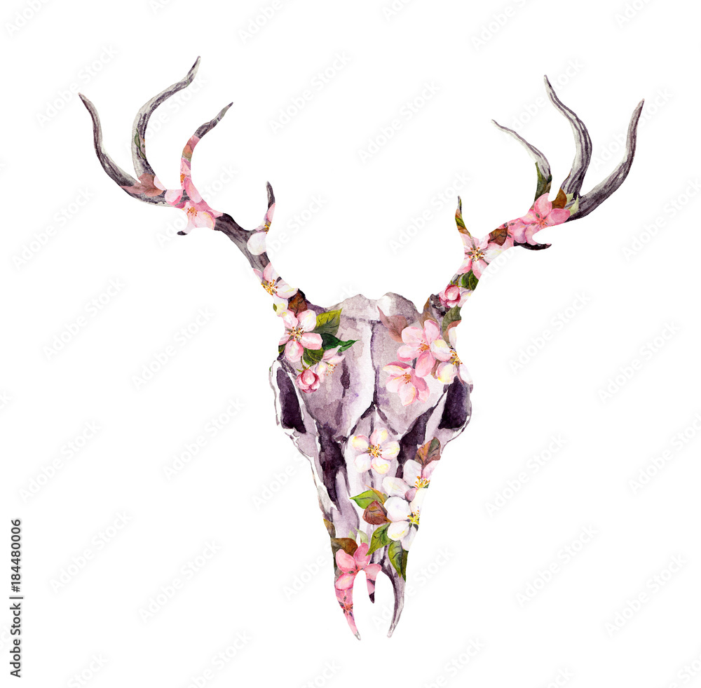 Animal Skulls And Flowers