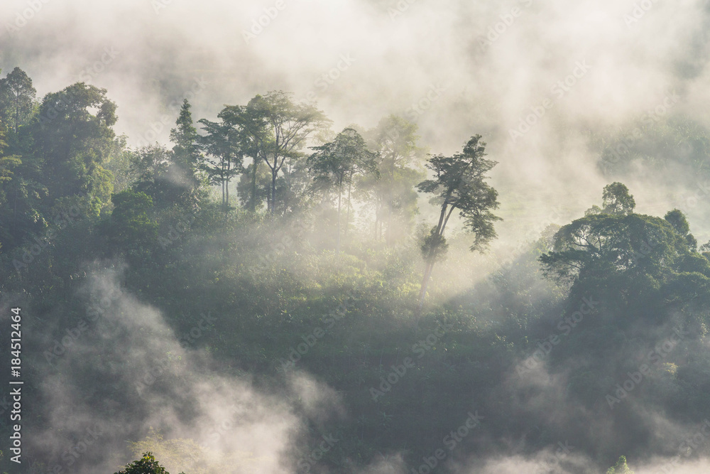 slow floating fog blowing cover on the top of mountain look like as a ...
