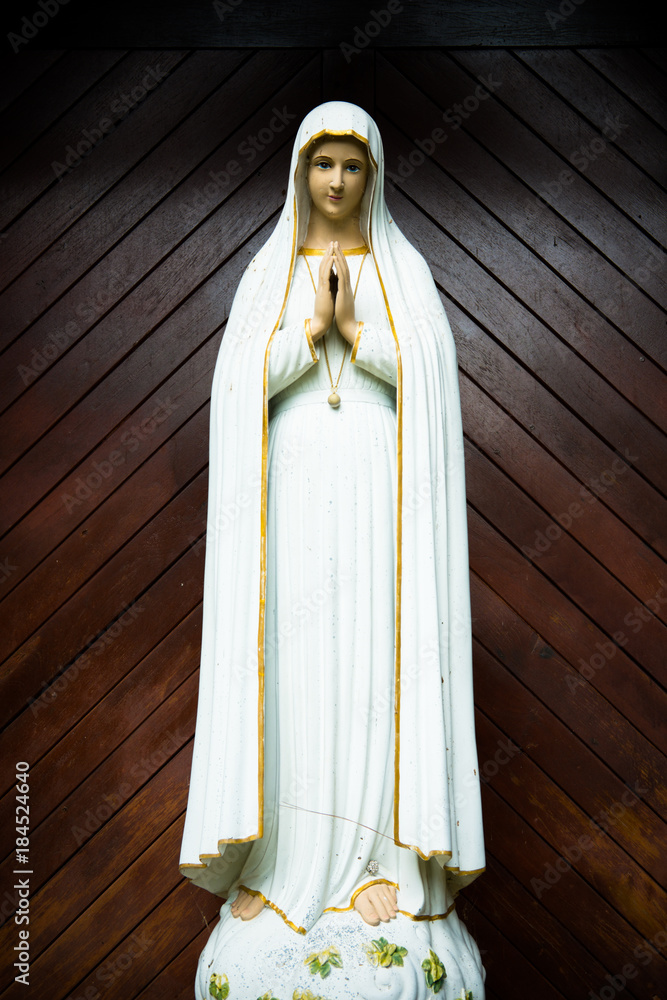 Virgin Mary Roman Catholic