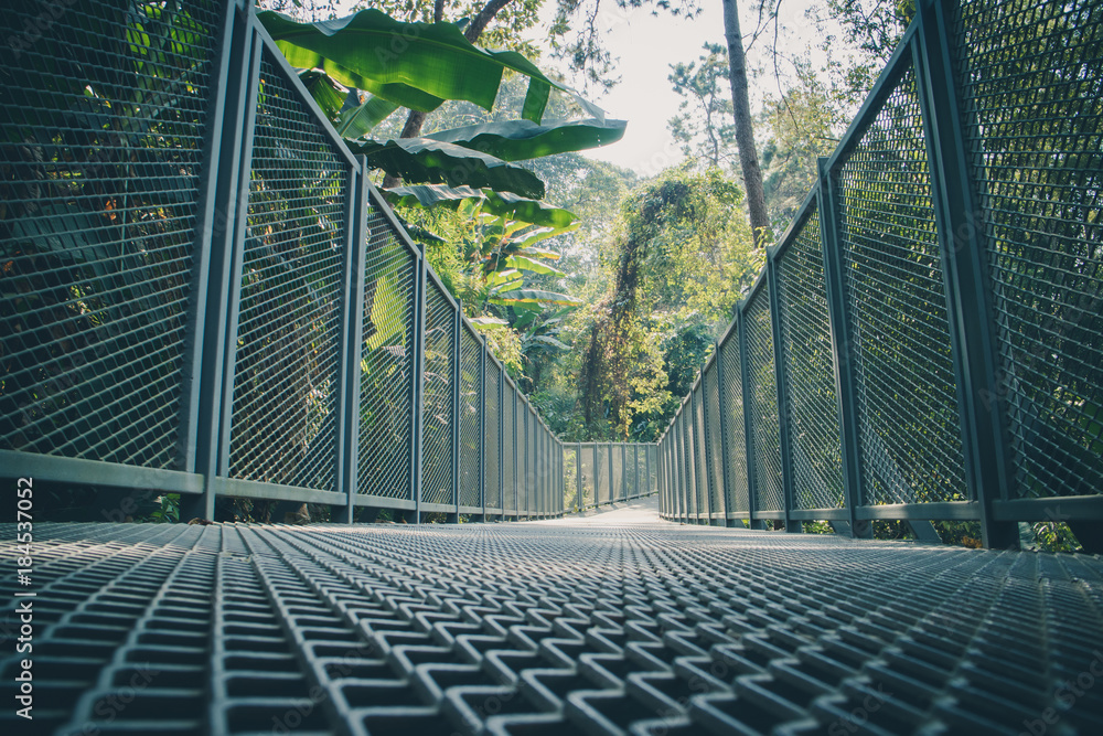 Canopy Walkway at Queen Sirikit Botanic Garden Stock Photo | Adobe Stock