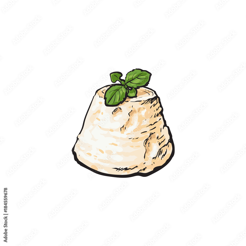 Greek, Feta, fresh, homemade cheese sketch style vector illustration on ...