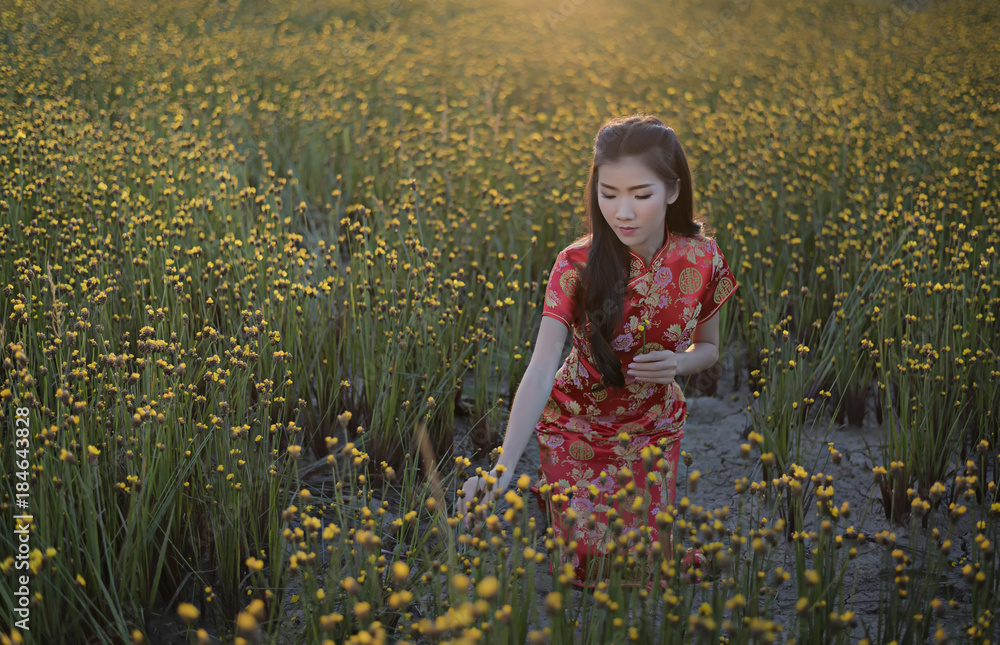 Beautiful woman wearing cheongsam and smiling to you in the Chinese New ...