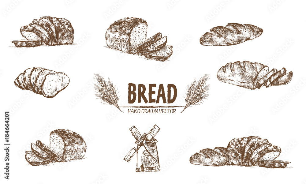 Digital vector detailed line art baked bread Stock Vector | Adobe Stock